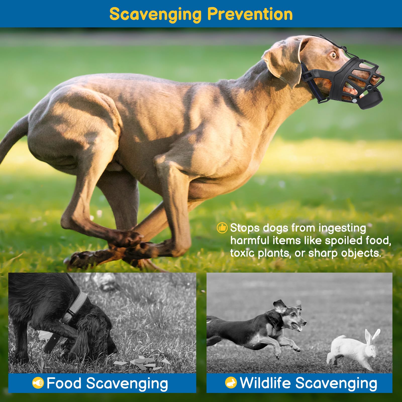 Snapklik.com : Basket Muzzle For Dogs, Humane Muzzle To Prevent Biting ...