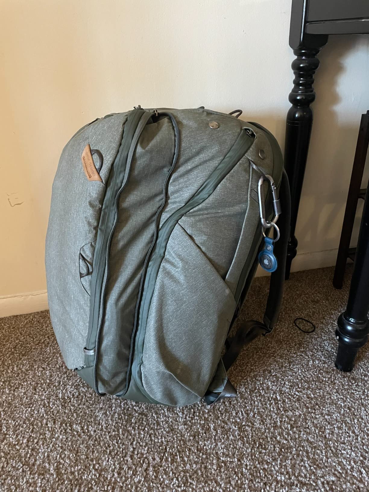 $50/mo - Finance Peak Design Travel Line Backpack 45L (Sage ...