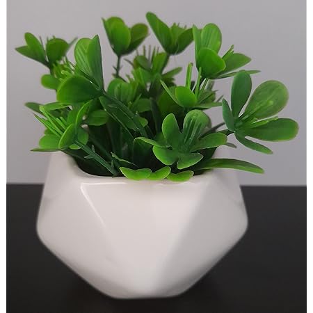 Leafy Tales Polygon Shape Ceramic Pot, Orange, 1 pc (Polygon Orange ...