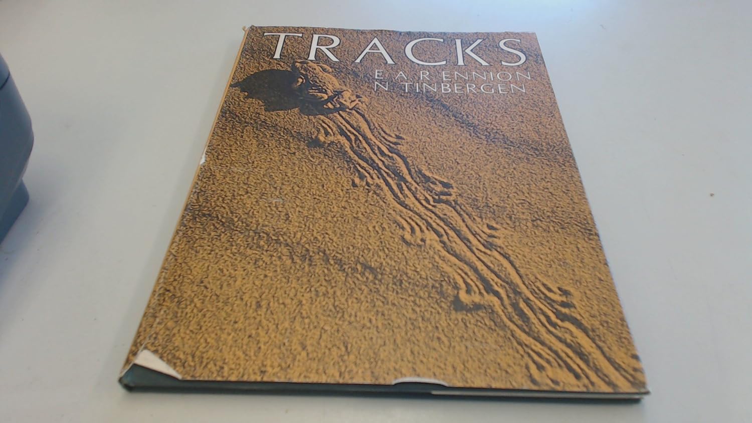 Tracks: Amazon.co.uk: 9781135510664: Books