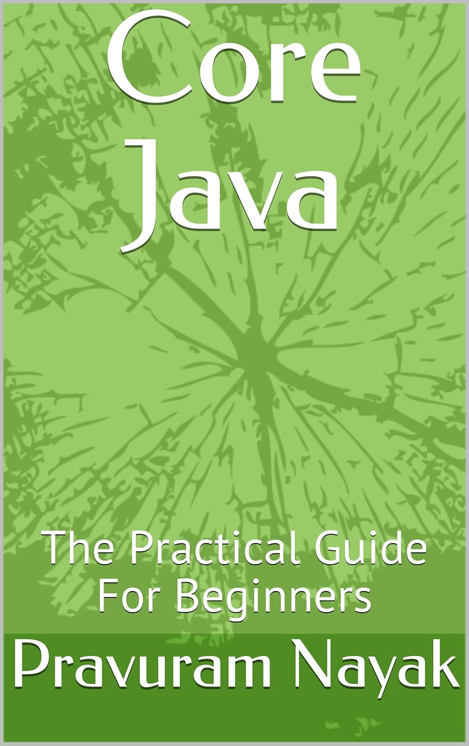 Amazon.com: Core Java: The Practical Guide For Beginners eBook : Nayak ...