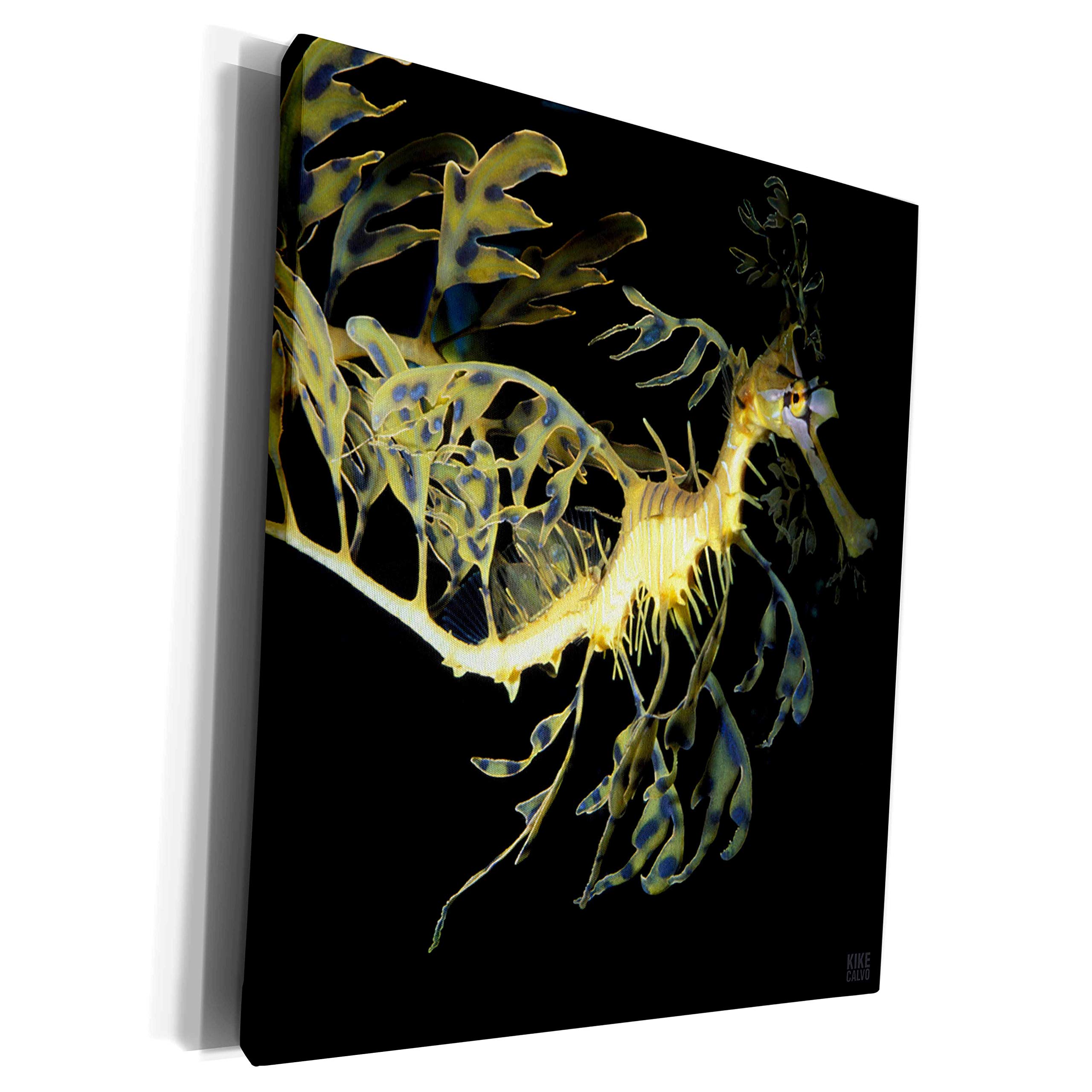 Buy 3dRose Kike Calvo Animals - Leafy Sea Dragon Seahorse, Phycodurus ...