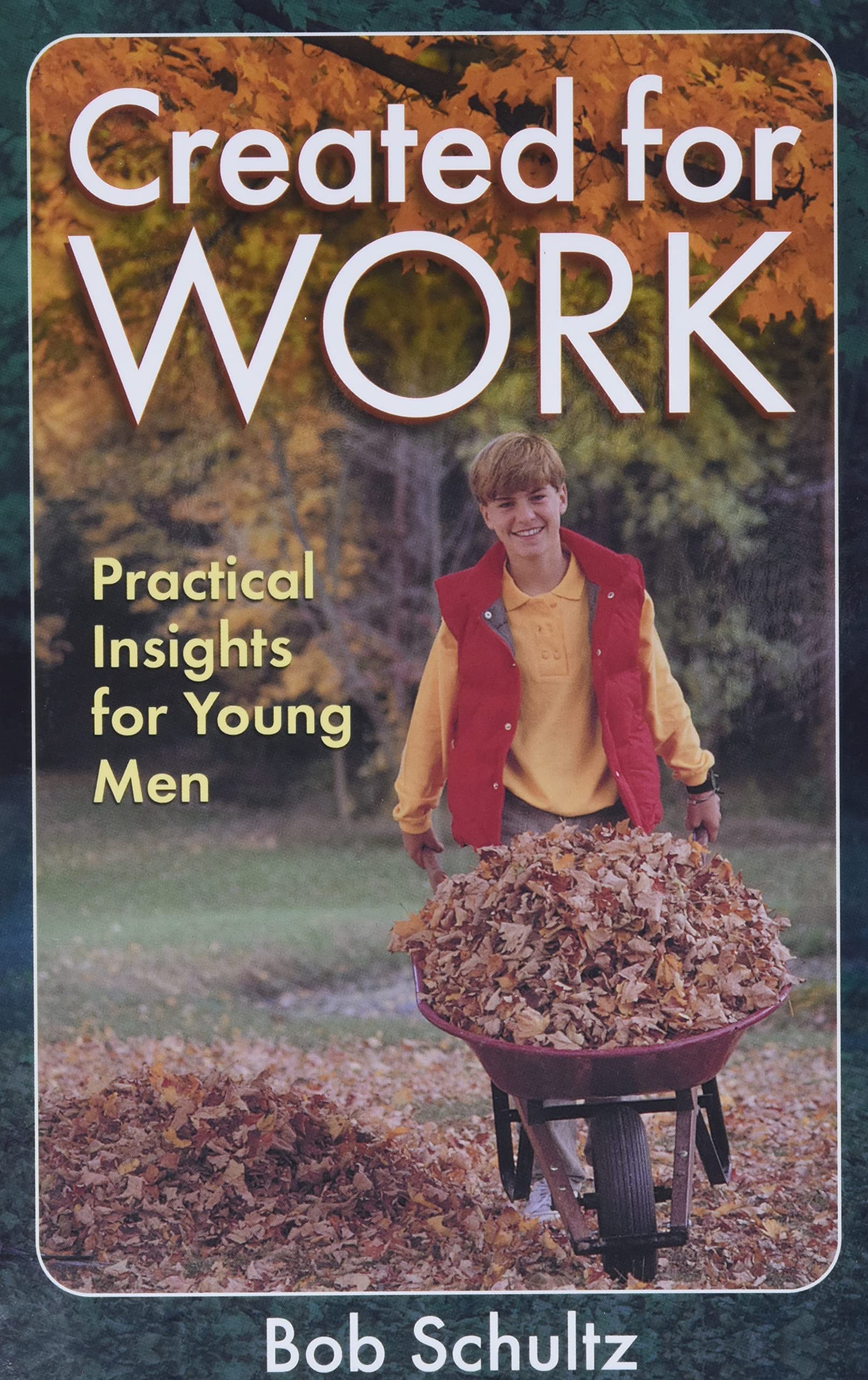 Created for Work: Practical Insights for Young Men: Schultz, Bob ...