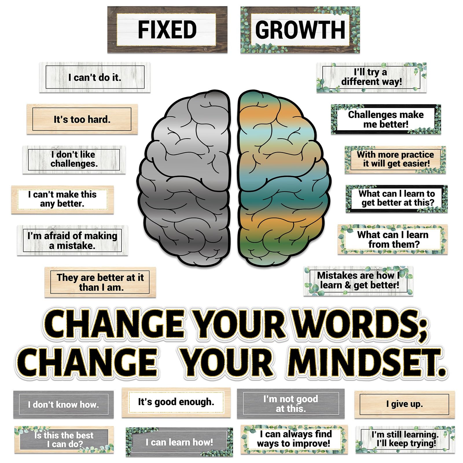 Buy Eucalyptus Growth Mindset Bulletin Board Inspirational Growth ...