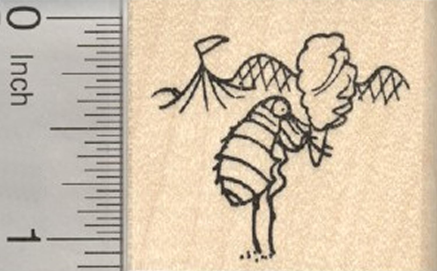 Amazon.com: Flea Circus Rubber Stamp, with Cotton Candy : Arts, Crafts ...