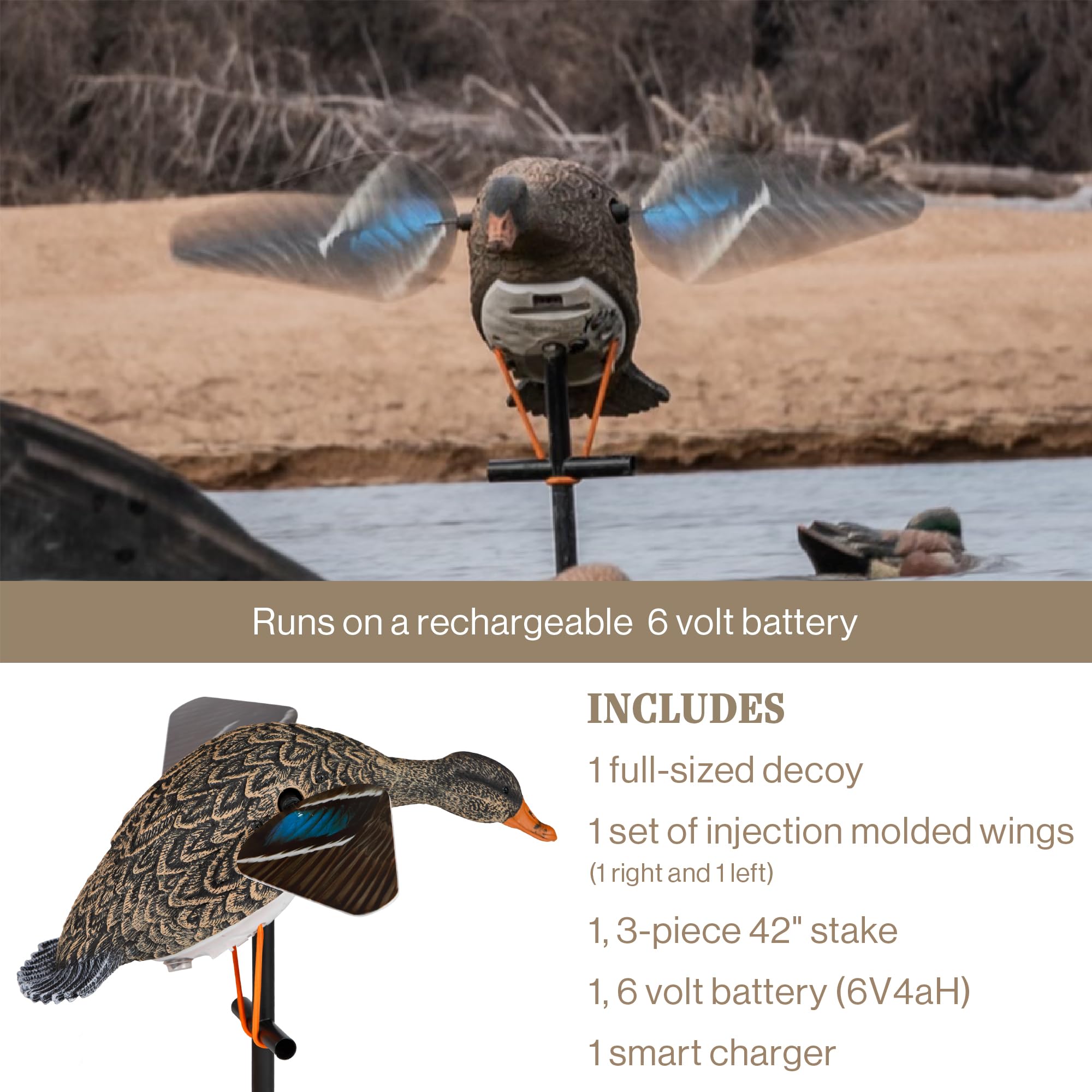 Snapklik.com : Lucky Duck Spinning Wing Motion Duck Decoys For Hunters