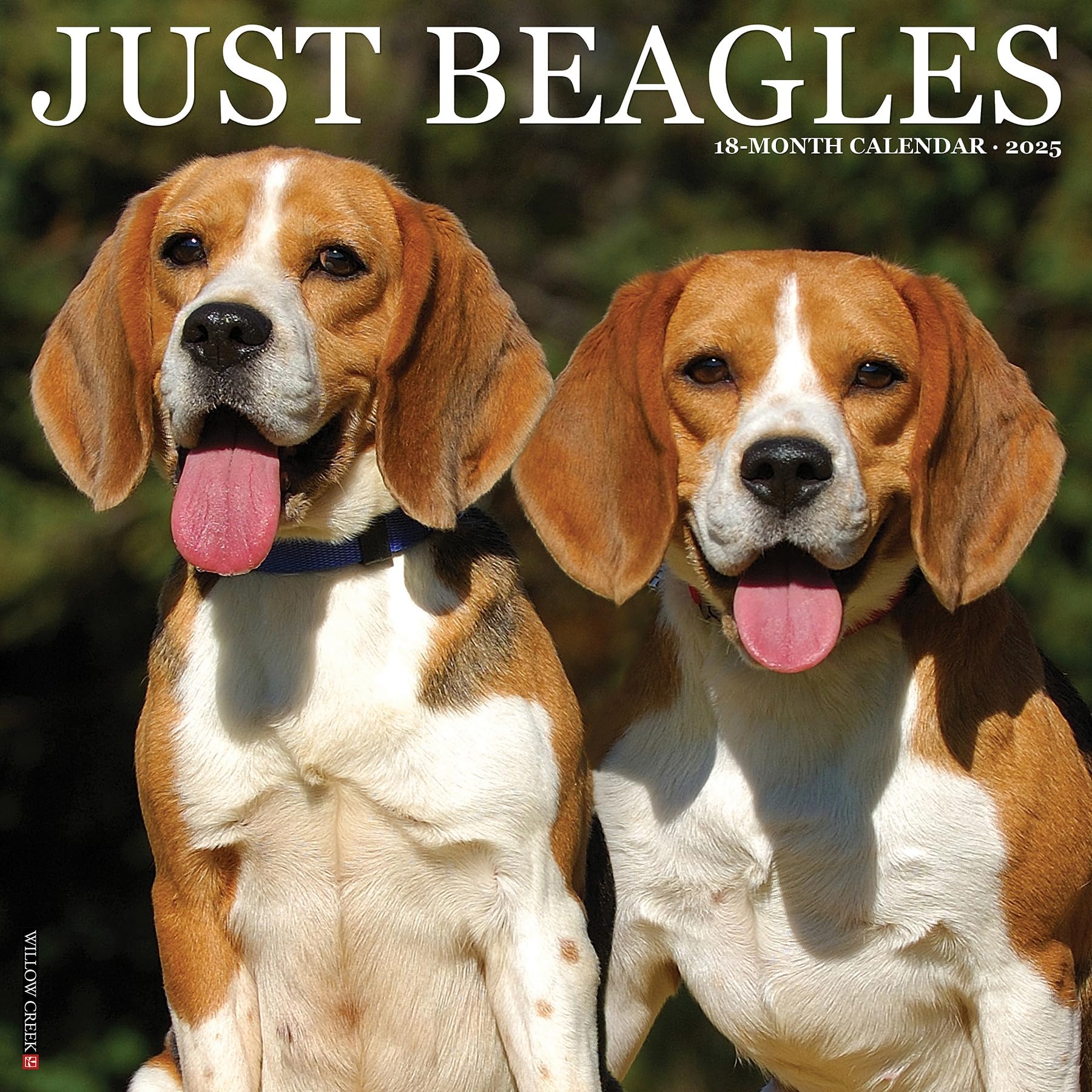 Amazon.com: Willow Creek Press Beagles Monthly 2025 Wall Calendar (12" x 12") : Willow Creek ...