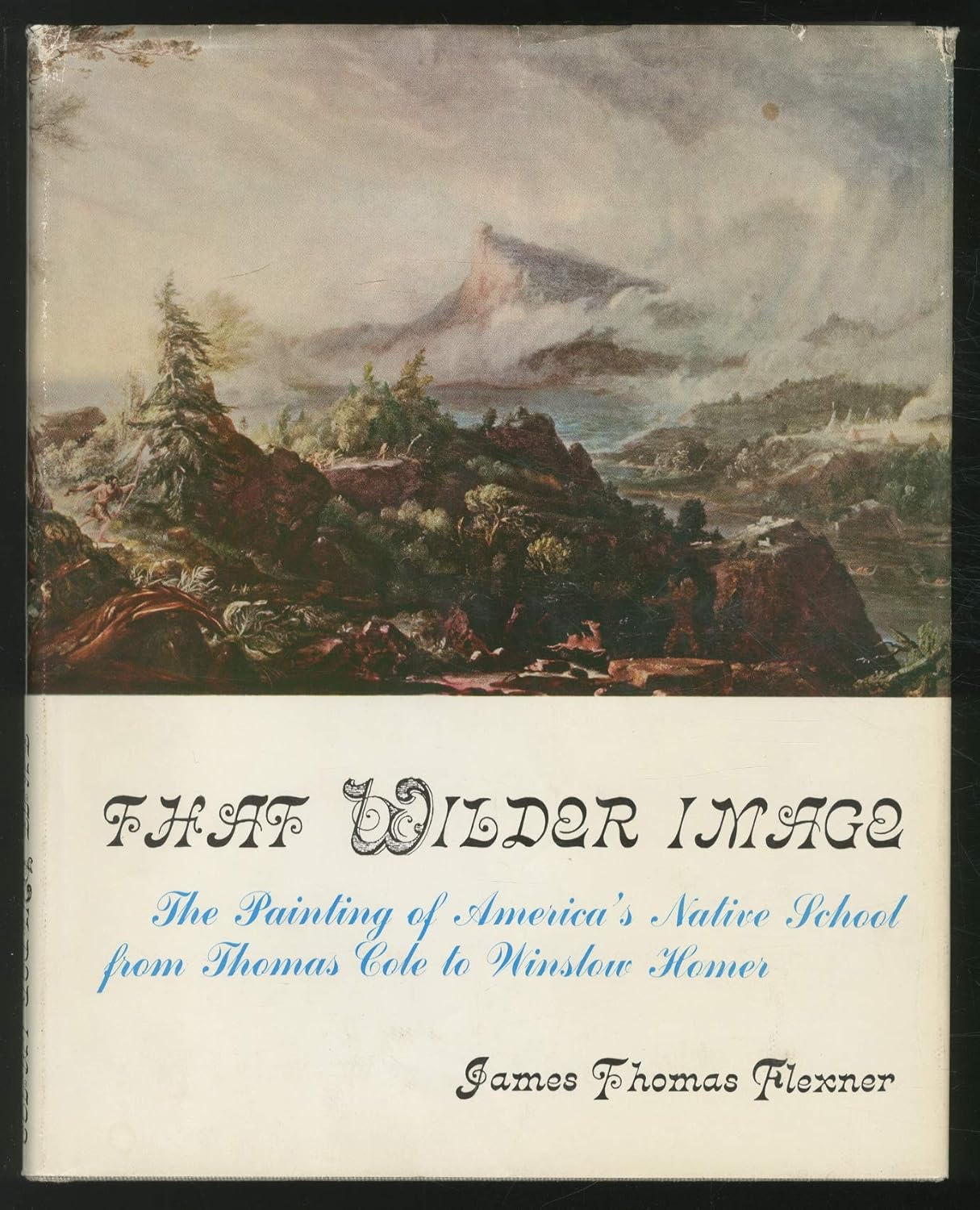 That wilder image;: The painting of America's native school from Thomas ...