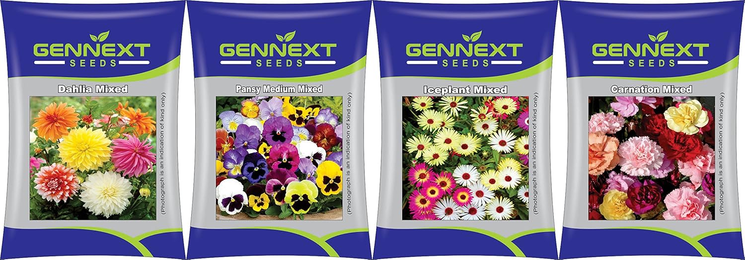 GENNEXT SEEDS 4 DIFFERENT VARIETIES OF FLOWER SEEDS FOR FALL/WINTER ...