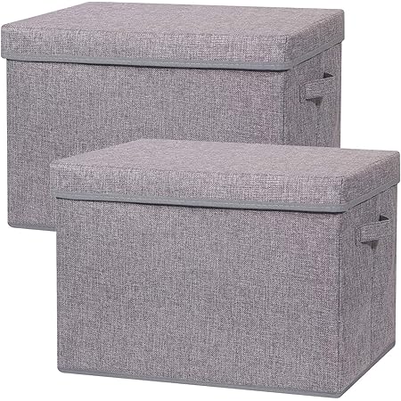 Amazon.com - 4 Pack Large Foldable Storage Box with Lids [16.5x11.8x11 ...