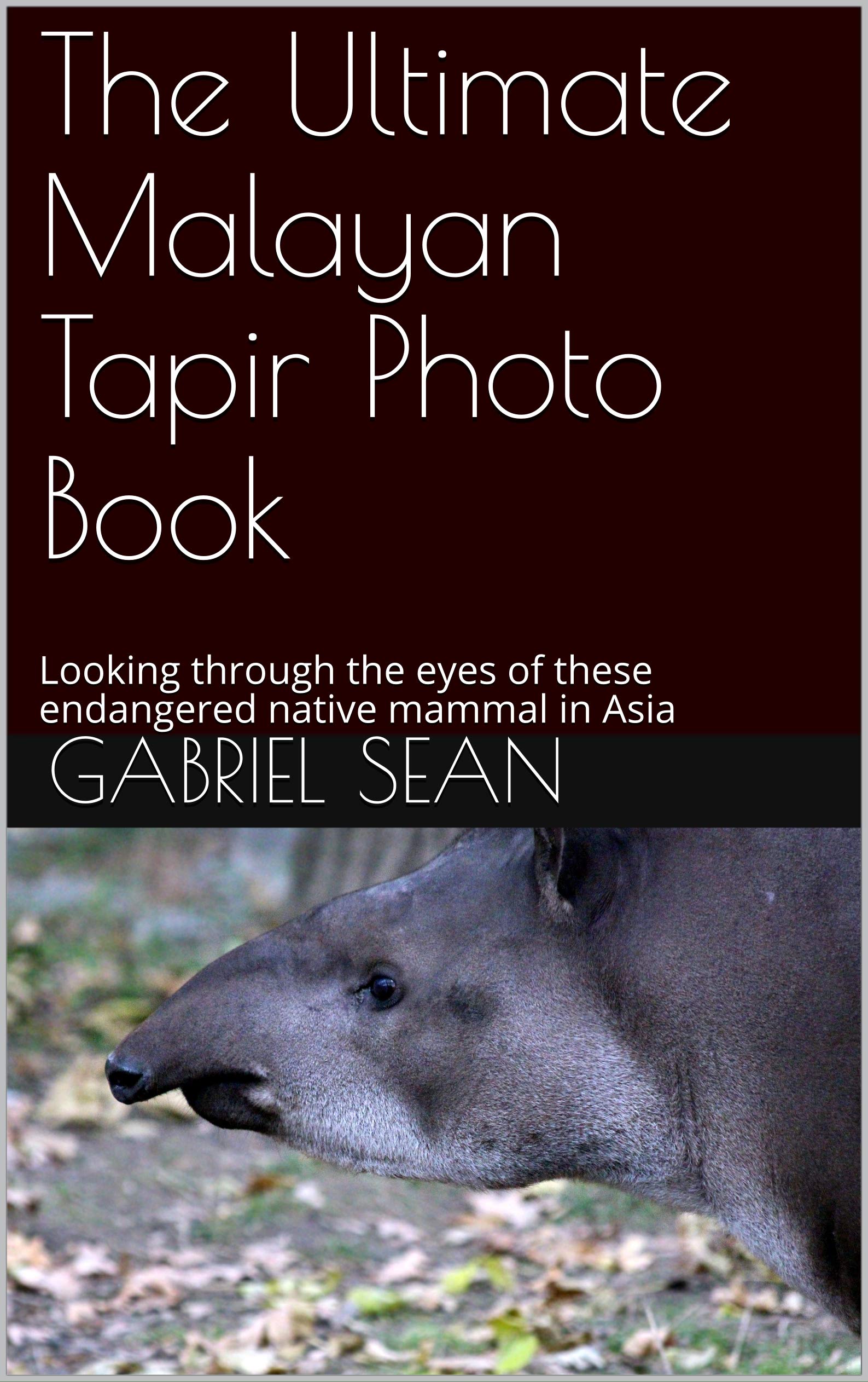 Buy The Ultimate Malayan Tapir Photo Book: Looking through the eyes of ...