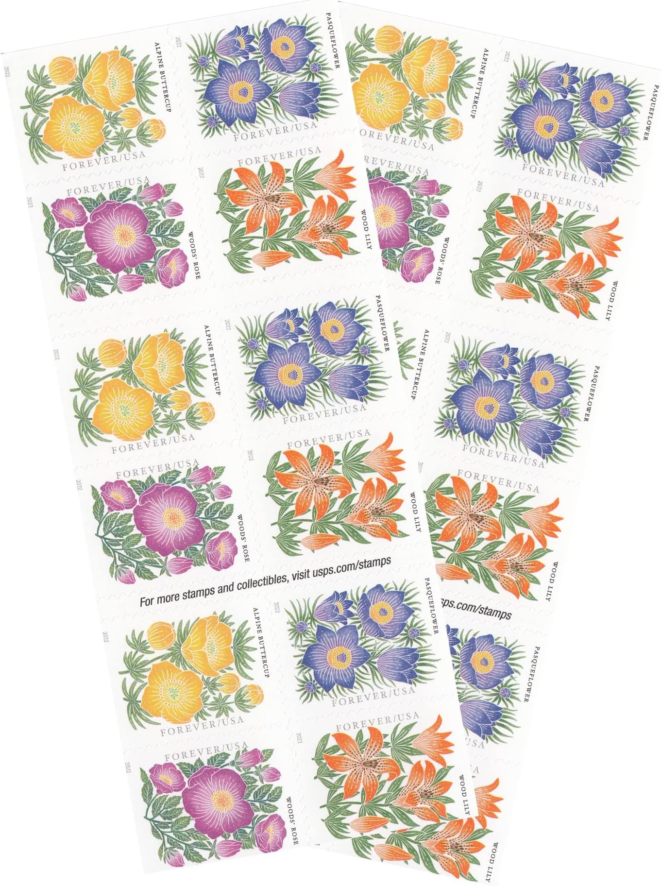 Amazon.com: 2017 Flowers from The Garden Twenty Forever Stamps Booklet ...