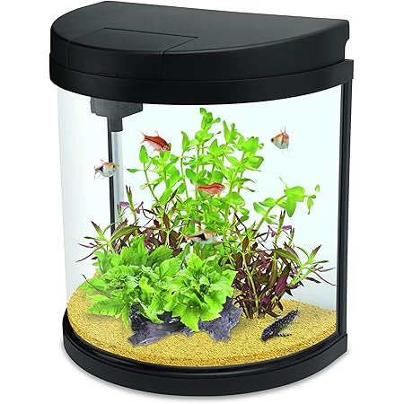 Interpet Fish Pod Moon Glass Aquarium Fish Tank - 39 Litre: Amazon.co ...