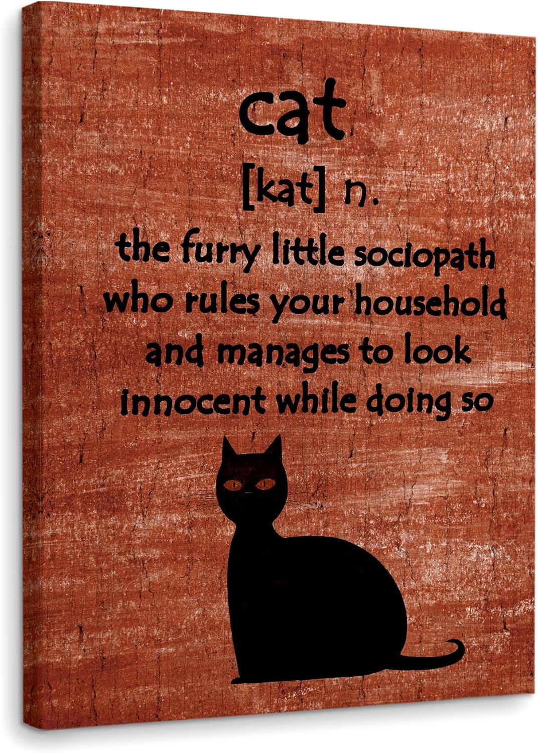 Amazon.com: WODMIS Cat Wall Decor, Funny Cat Definition Framed Canvas ...