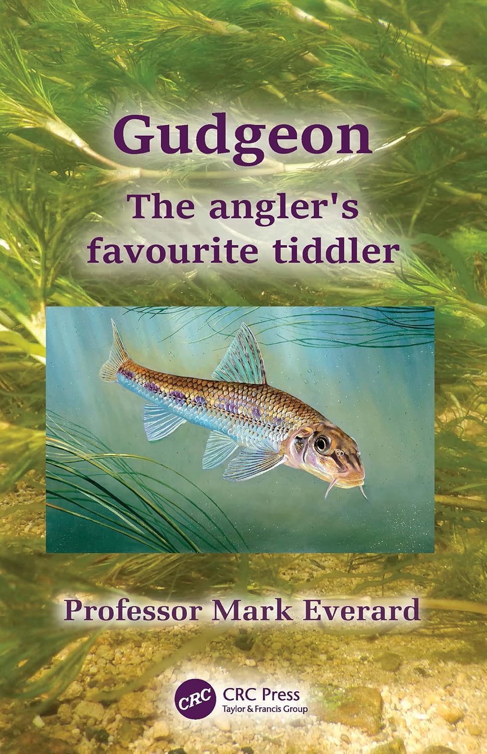 Gudgeon: The angler's favourite tiddler 1, Everard, Mark - Amazon.com