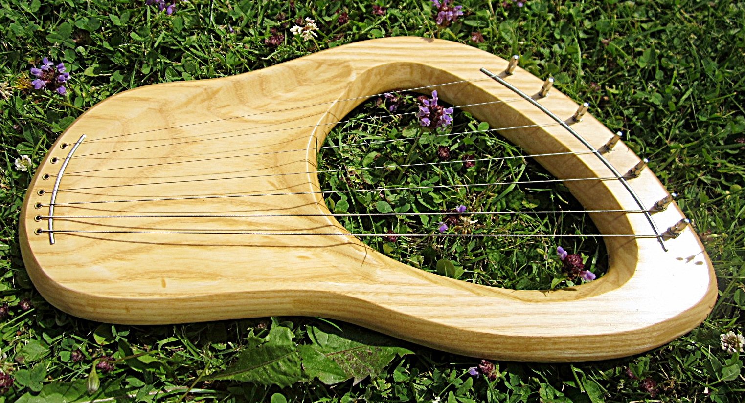 Waldorf Lyre Pentatonic tuning 7 Steel Strings with Bag and Replacement ...