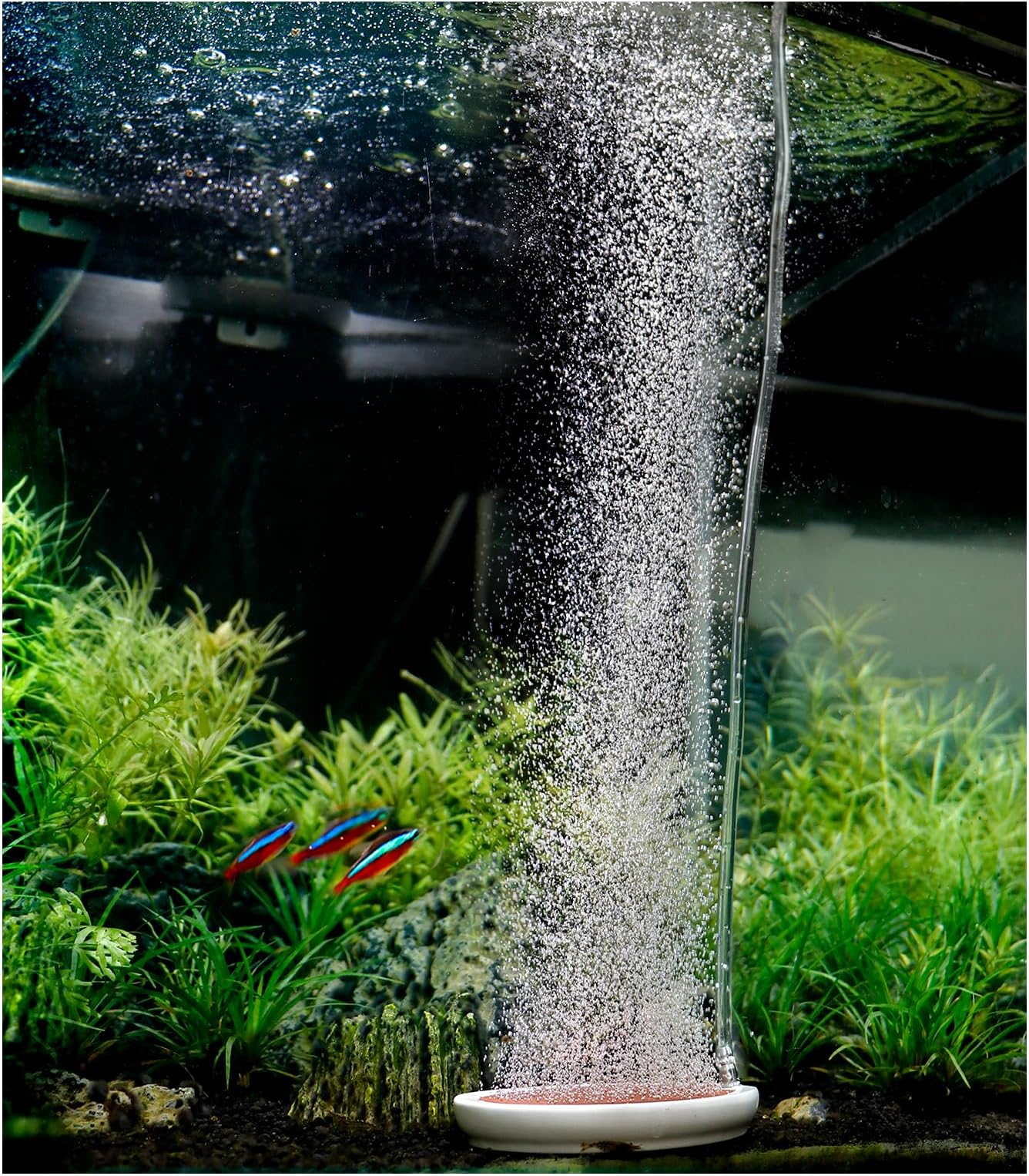 Amazon.com : Irenare 100 Pieces 1 Inch Air Stone Cylinder Air Pump ...