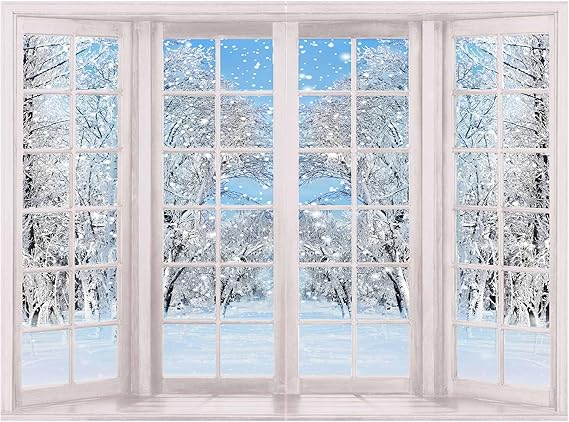 Amazon.com : Funnytree 8 x 6 FT Winter Window Backdrop Snowflakes Snowy ...