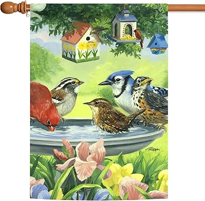 Amazon.com : Toland Home Garden 12x18 Inch Double Sided Garden Flag ...