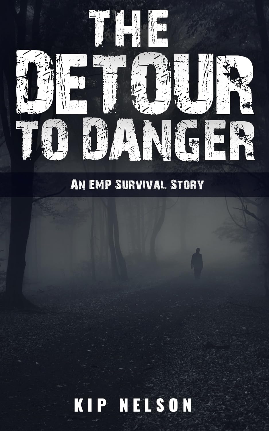 Amazon.com: The Detour To Danger: An EMP Survival Story (EMP Crash Book ...