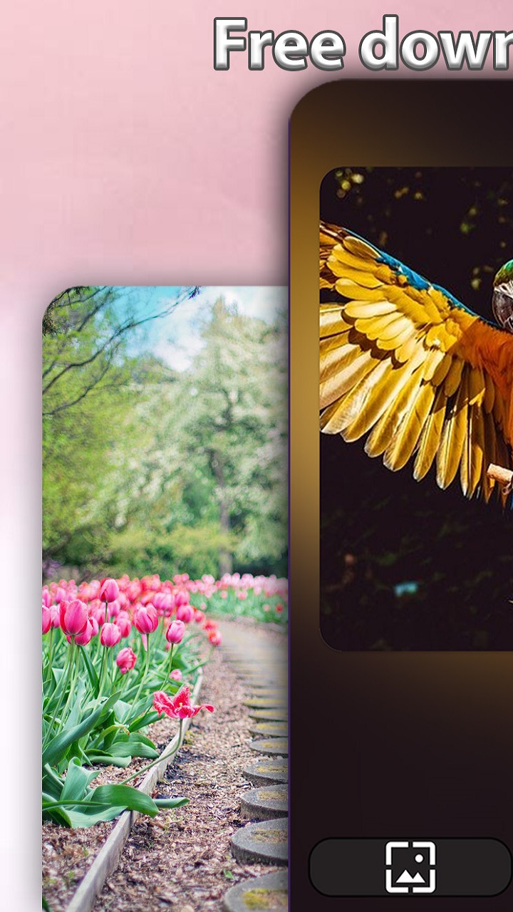Wallpaper image downloader - App on Amazon Appstore