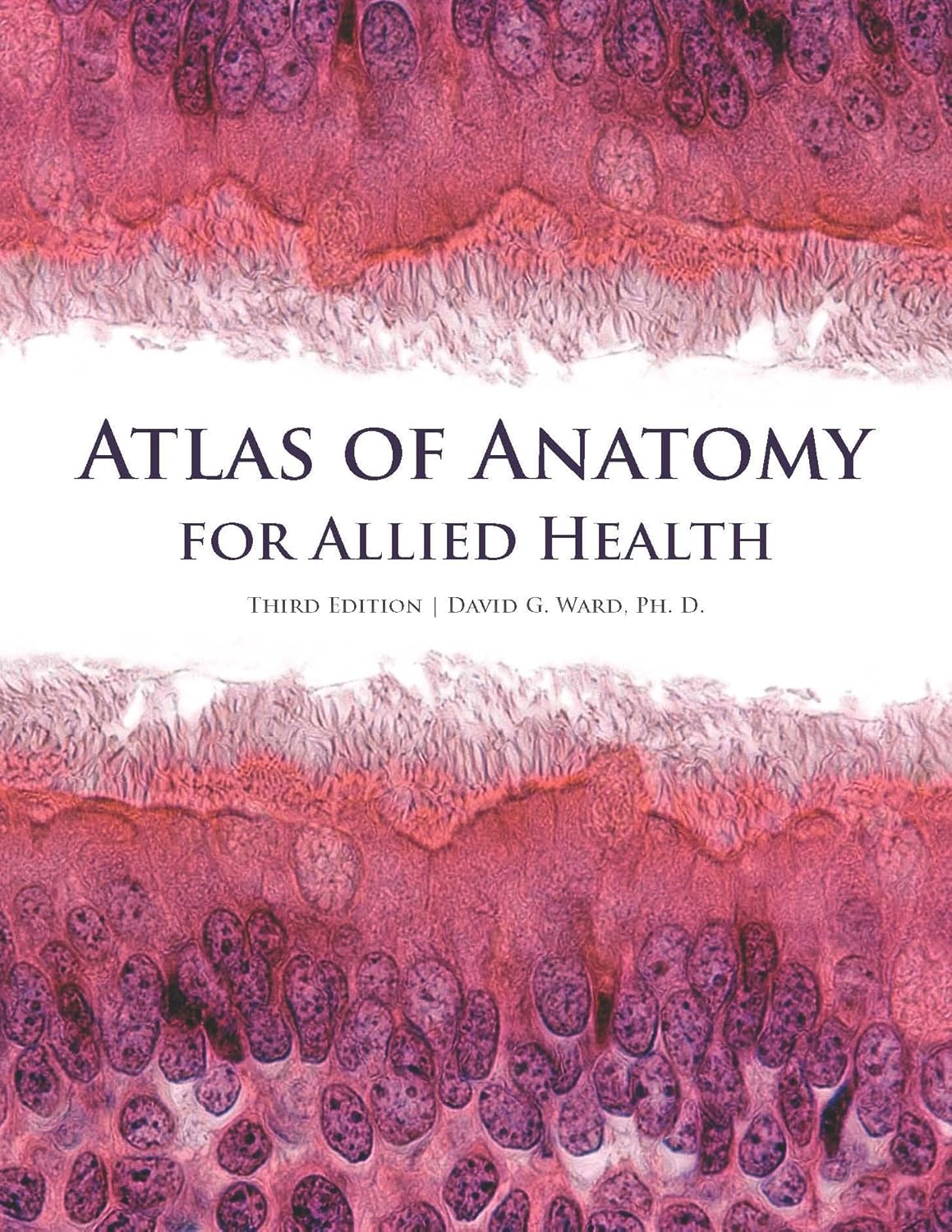 Amazon.fr - Atlas of Anatomy for Allied Health - Livres