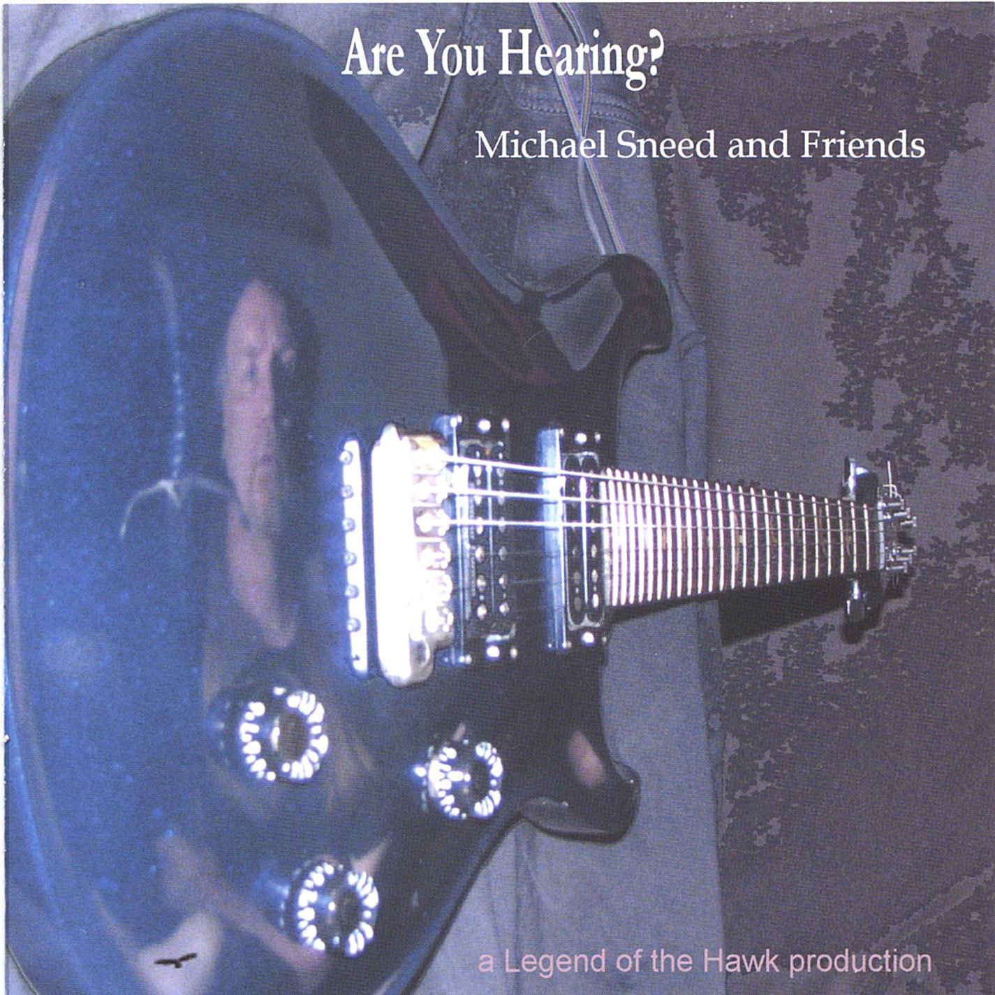 Michael Sneed, Michael Sneed & Friends - Are You Hearing? - Amazon.com ...