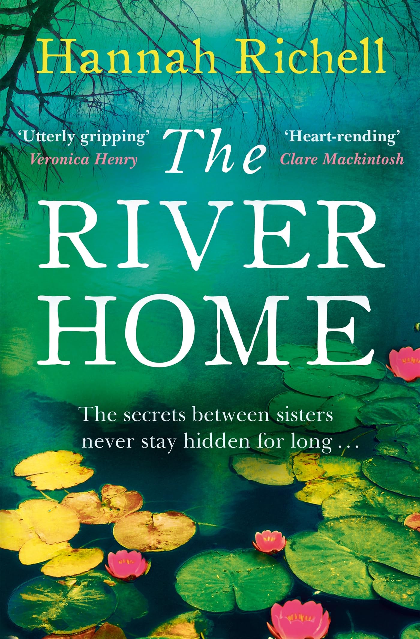 Amazon.com: The River Home: 9781409152279: Richell, Hannah: Books