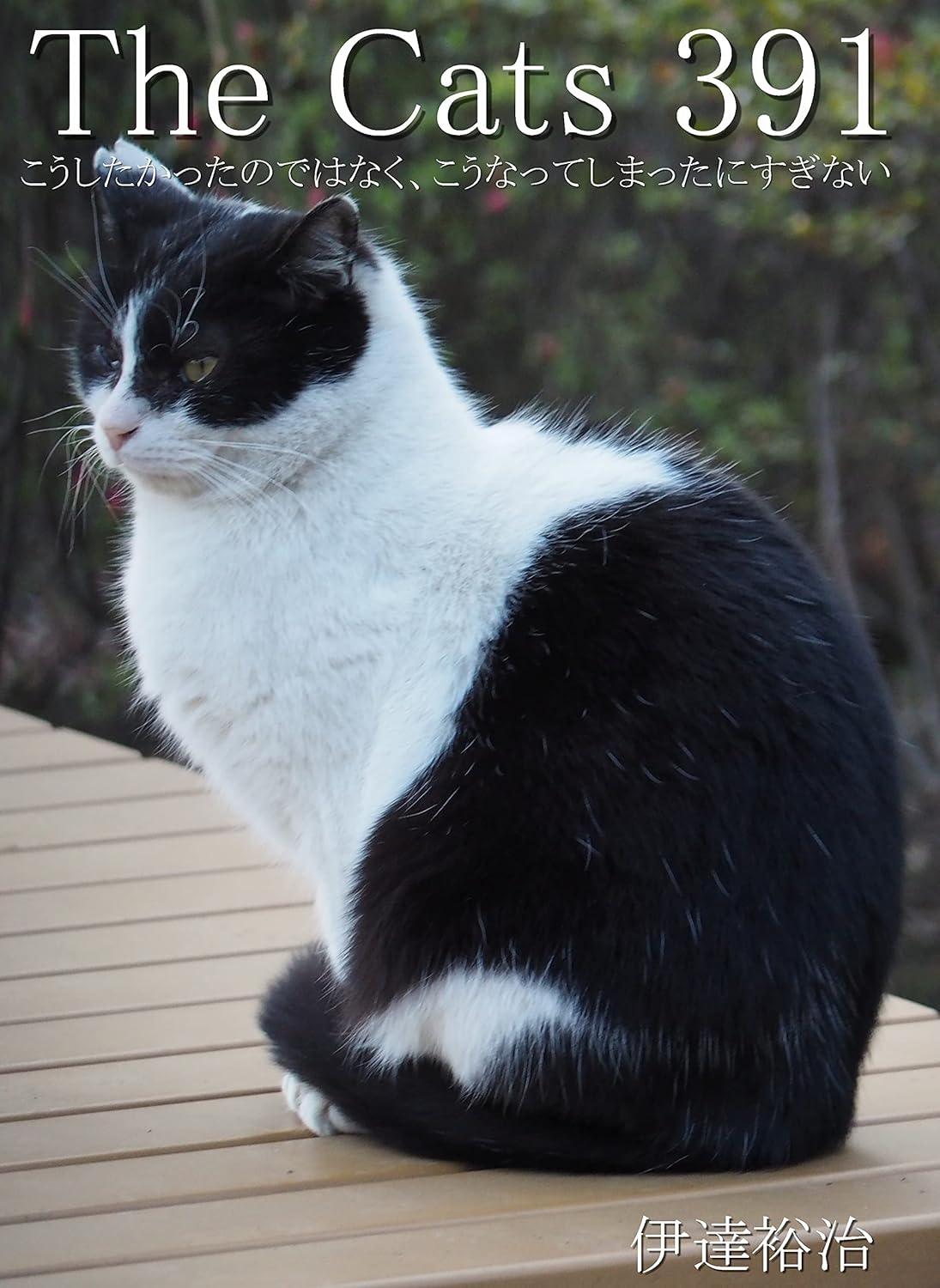 Amazon.com: The Cats 391 (Japanese Edition) eBook : Date Yuji: Kindle Store