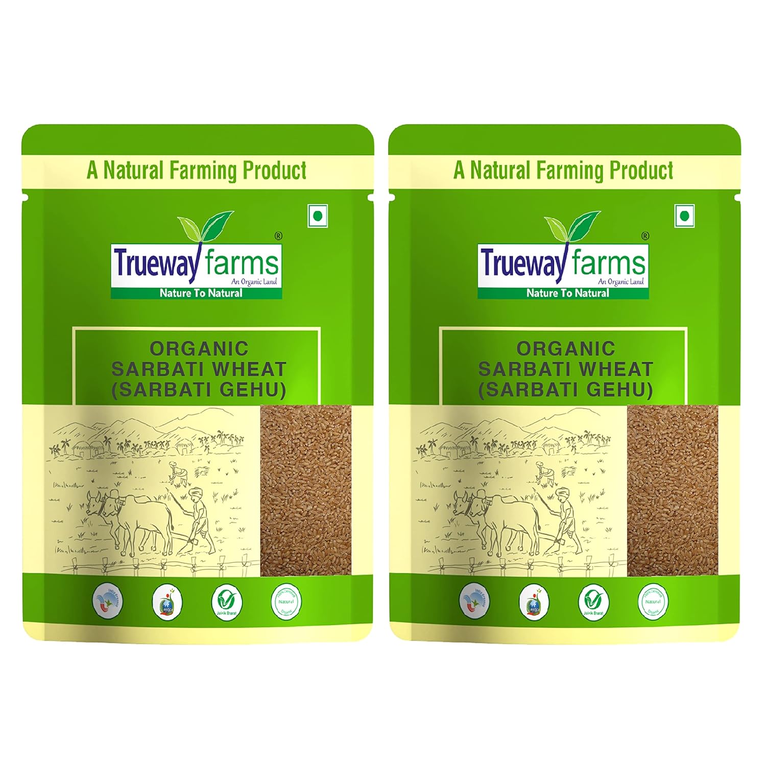 Trueway Farms Organic Sharbati Wheat (Gehu) –10KG (Pack of 2, Each pack ...