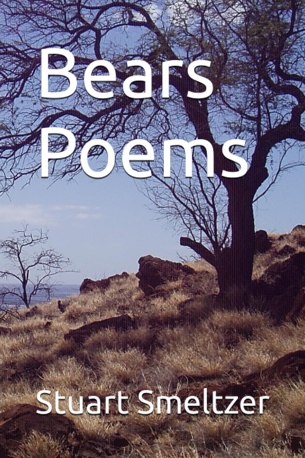 Bears Poems: Smeltzer, Stuart Wayne: 9798856109923: Amazon.com: Books