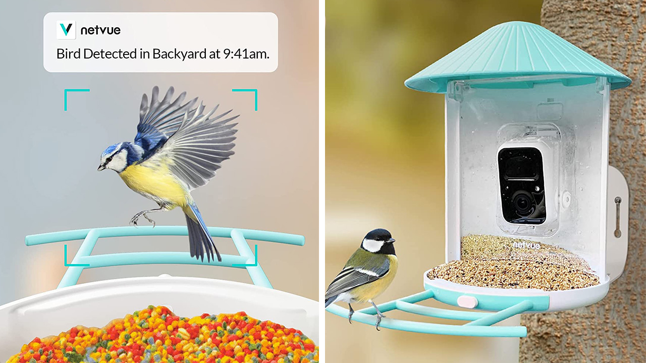 Watch A Smart Bird Feeder? The NETVUE Birdfy Lite on Amazon Live