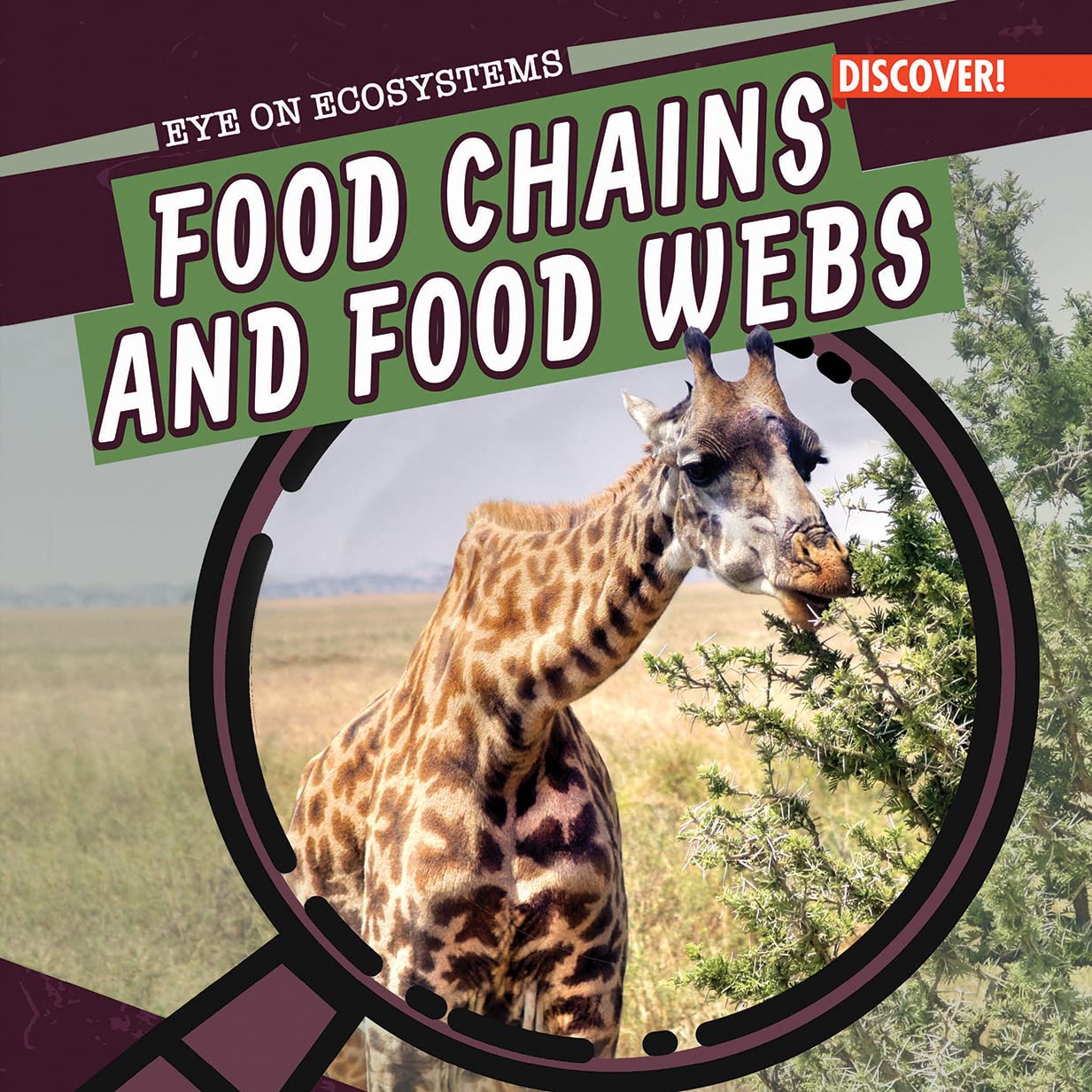 Food Chains and Food Webs (Eye on Ecosystems): Emminizer, Theresa ...