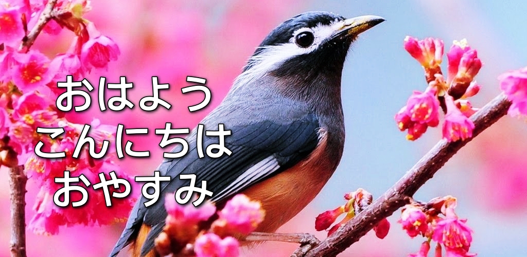 Japanese Good Morning Quotes UNIVERSOTOKYO