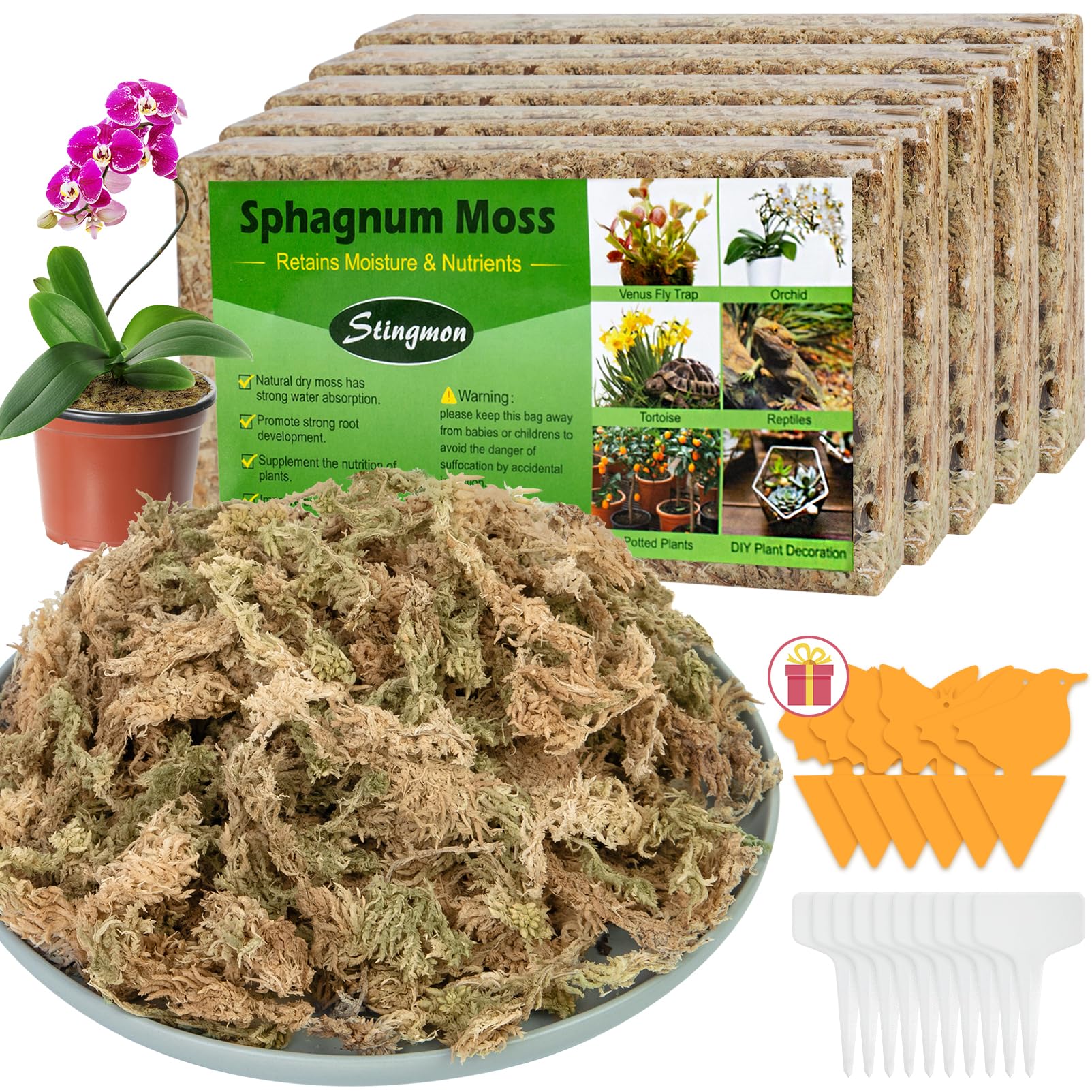 Amazon.com : 2.2LB Sphagnum Moss for Plants, Orchid Moss for Potted ...