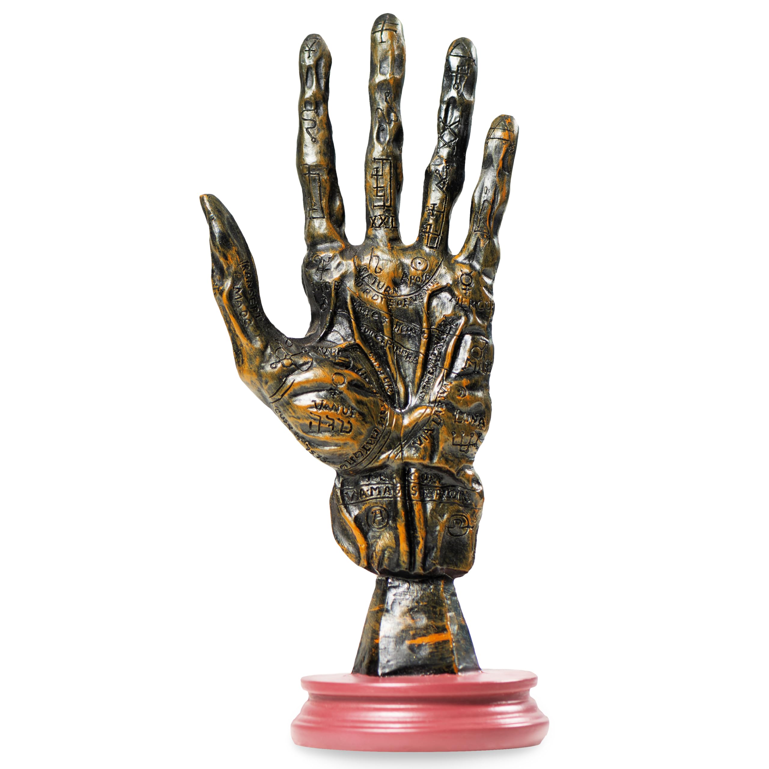Amazon.com: Palm Reading Hand 5x4x11, Hand Decor, Palmistry Hand ...