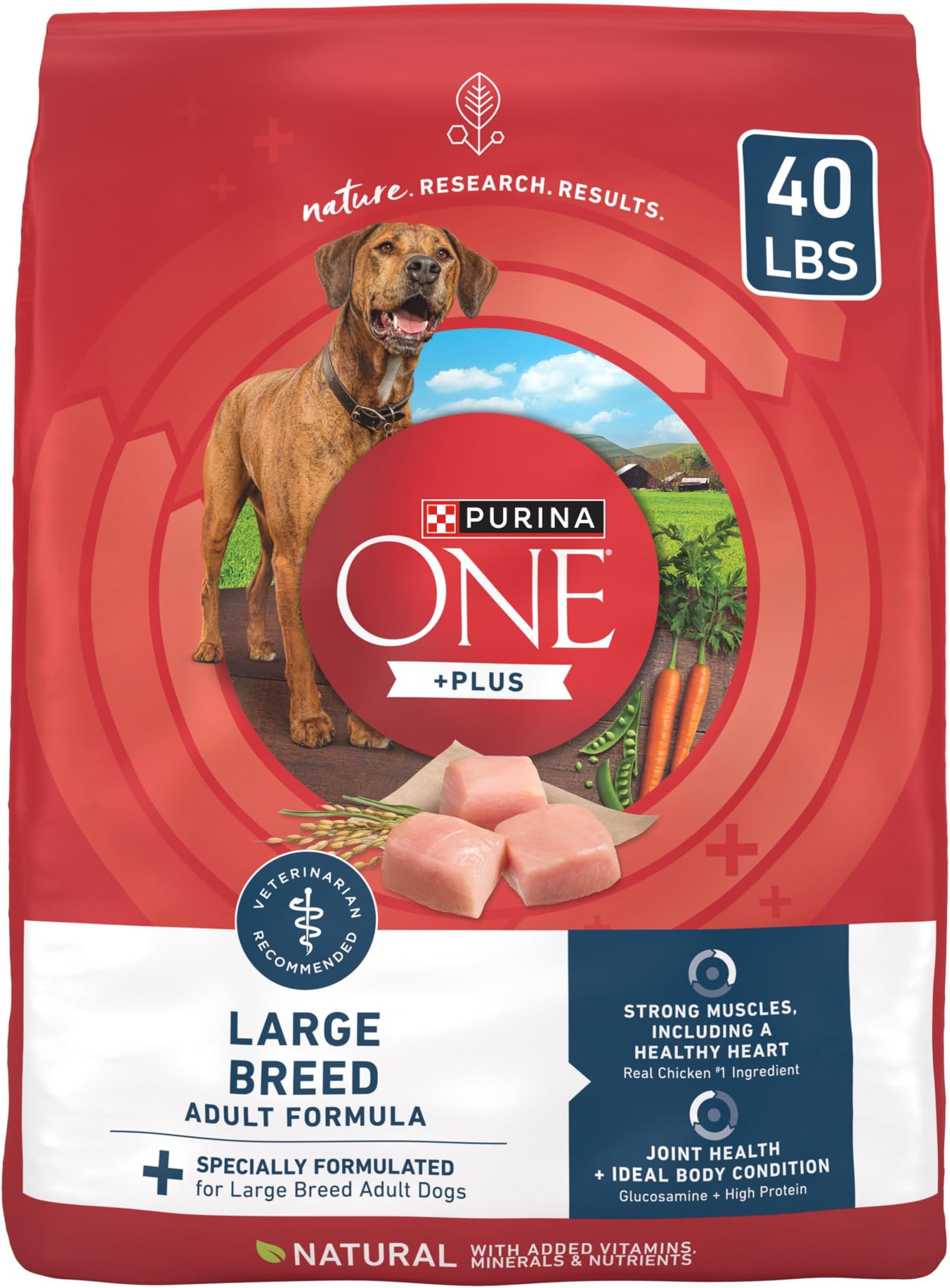 Amazon.com: Purina ONE SmartBlend Natural Lamb & Rice Formula Adult Dry ...