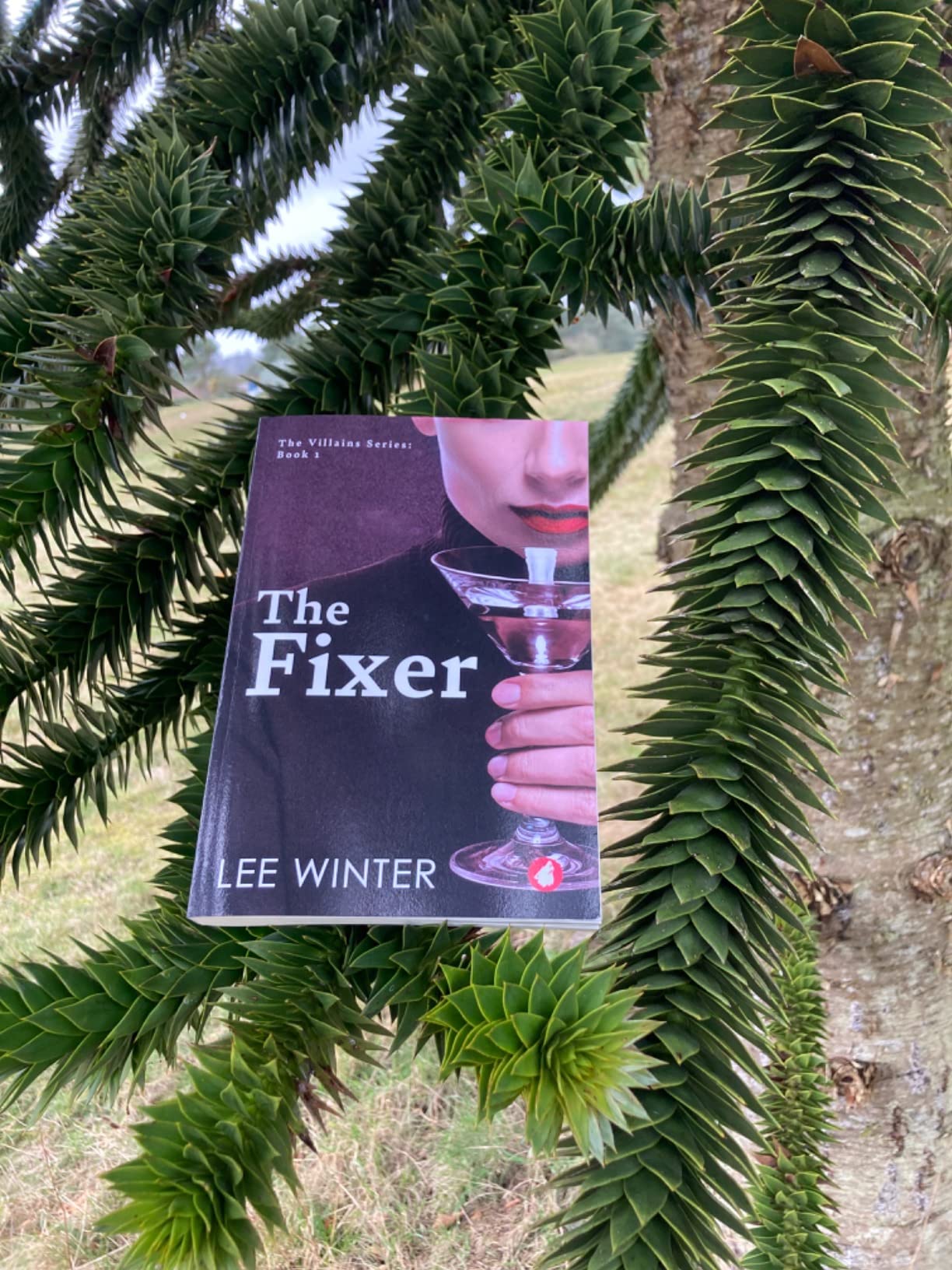 The Fixer: The Villains Series, Book 1 (Audio Download): Lee Winter ...