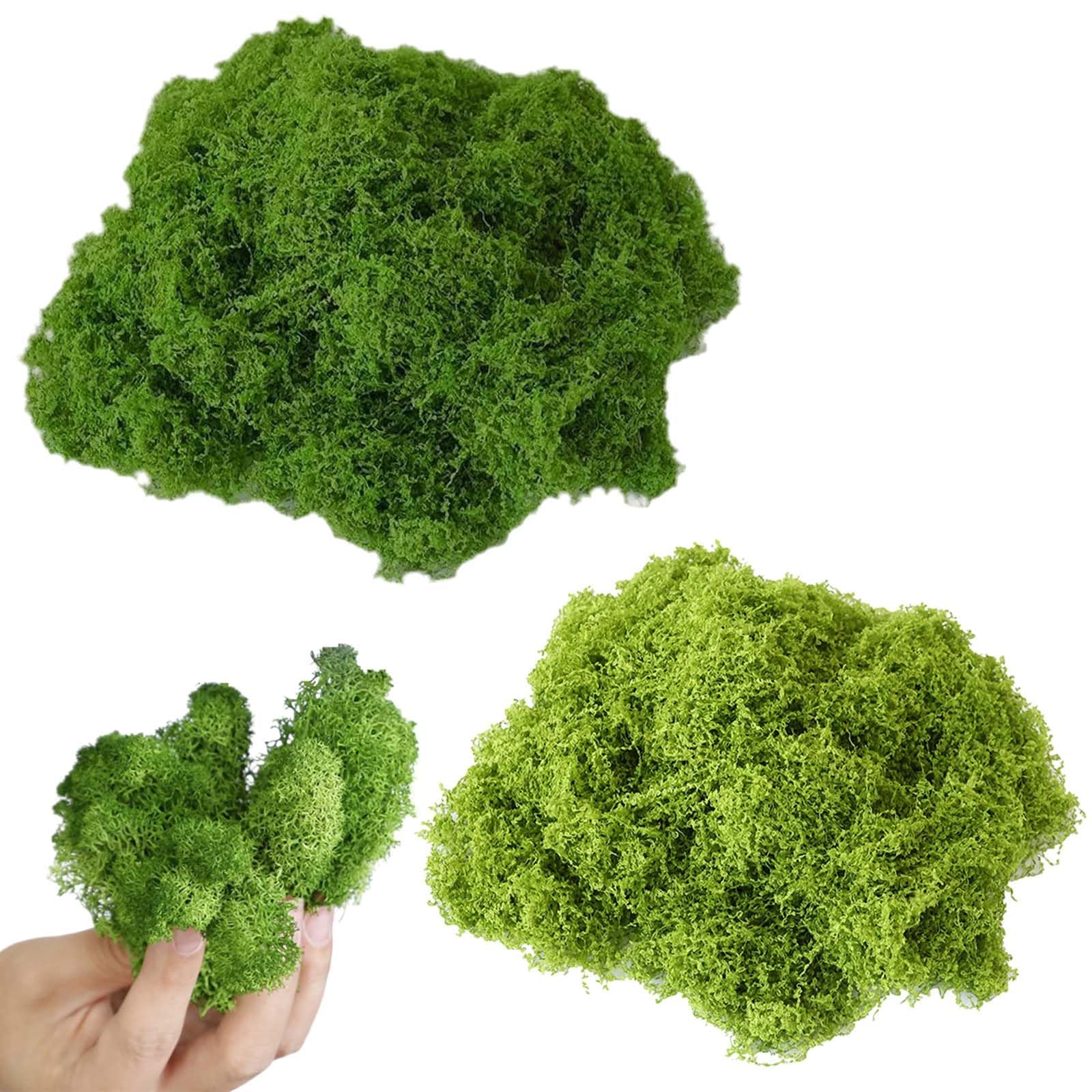 Amazon.de: Tcnzdy 150g Moos, Deko Moos KüNstlich, Moos Zum Basteln ...