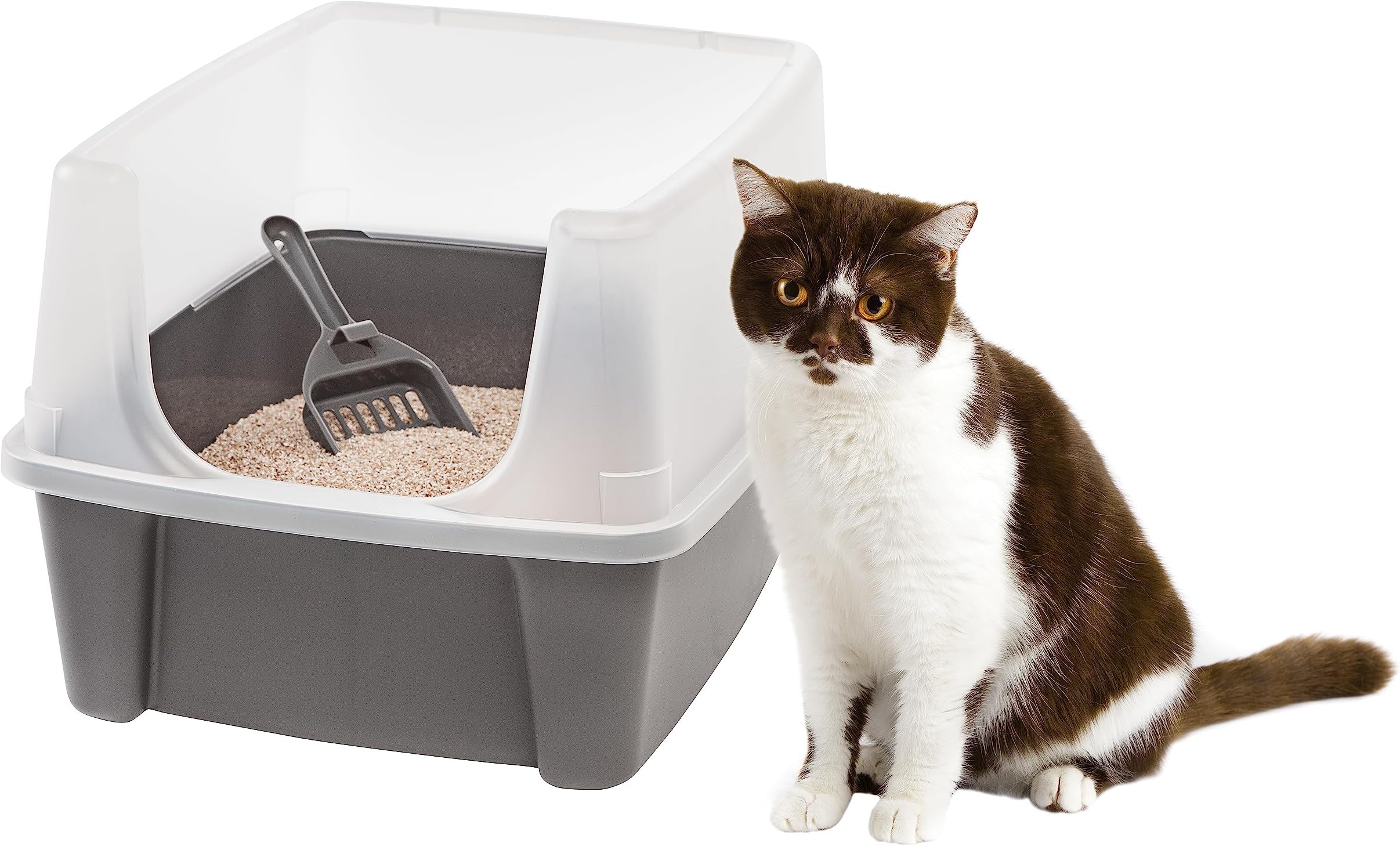 IRIS USA Large Cat Litter Box with Scatter Shield and Scoop, Open Top ...