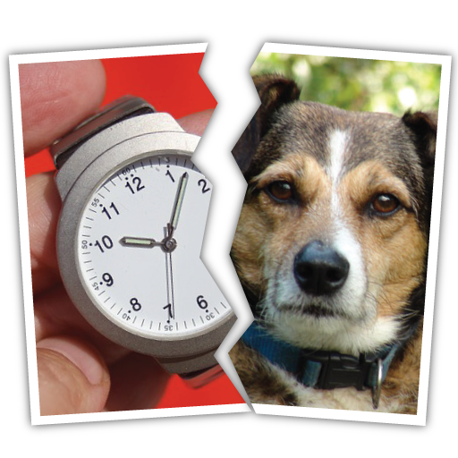 Two-Pic Phrase - App on Amazon Appstore