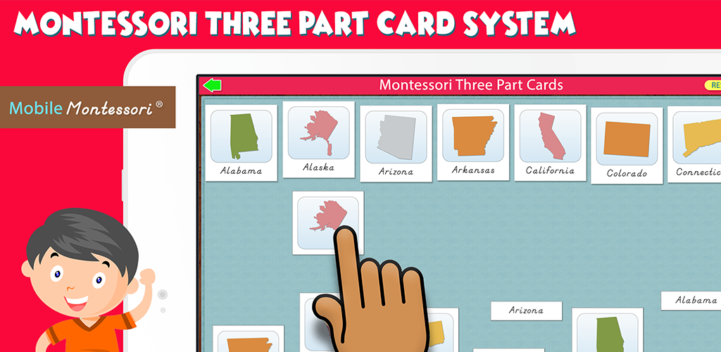 Montessori Three Part Card System - United States of America:Amazon.com ...