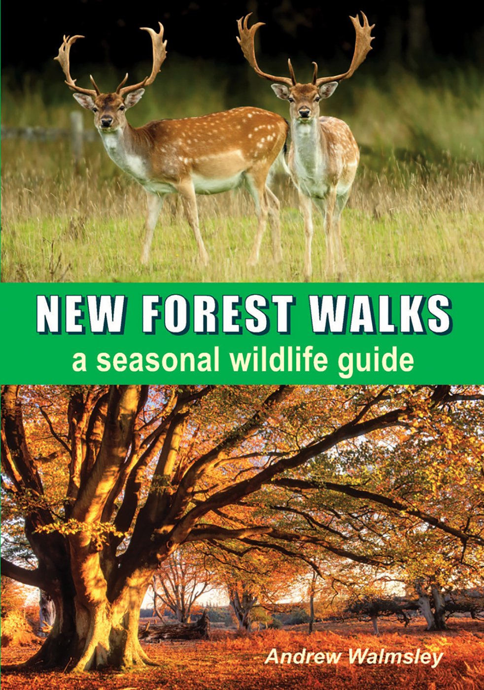 Wildlife Forest The New Forest Wildlife Park Animal Collection / Zoo