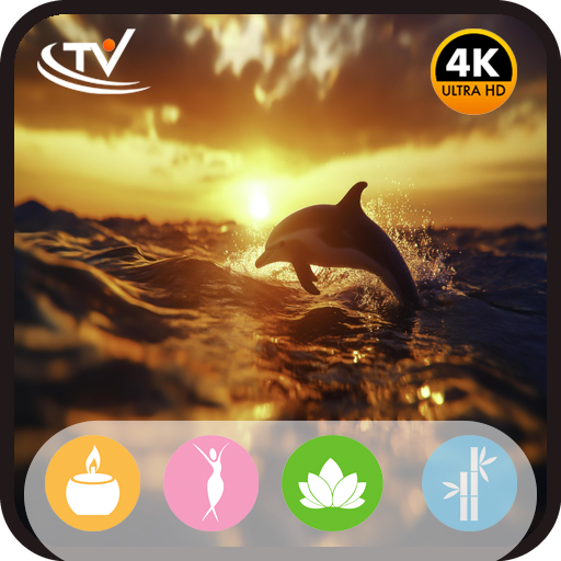 Dolphin Serenity – Ocean Ambience and Soothing Marine Life Visuals for ...