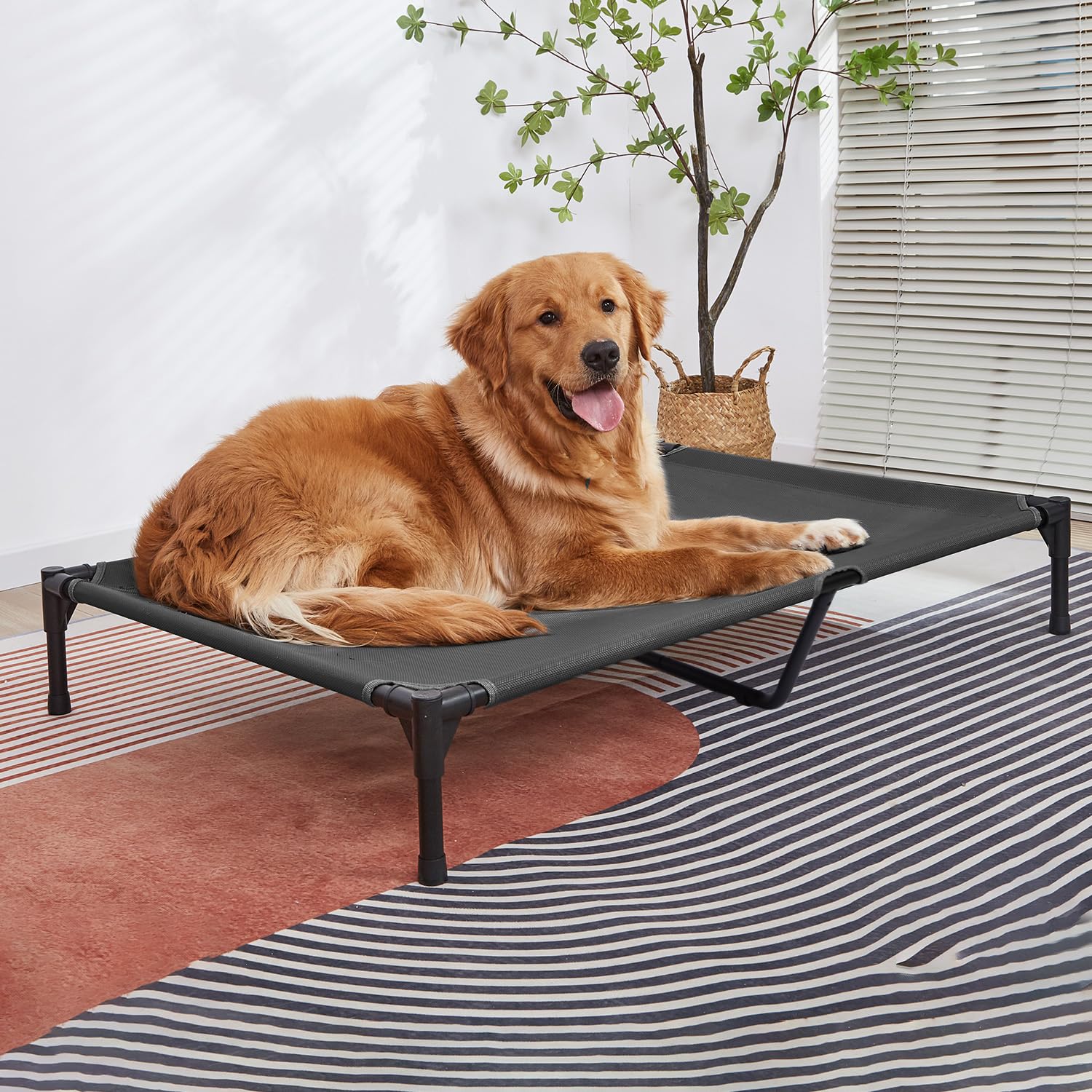 pettycare Elevated Outdoor Dog Bed - Dog Cots beds for Large Dogs XL ...