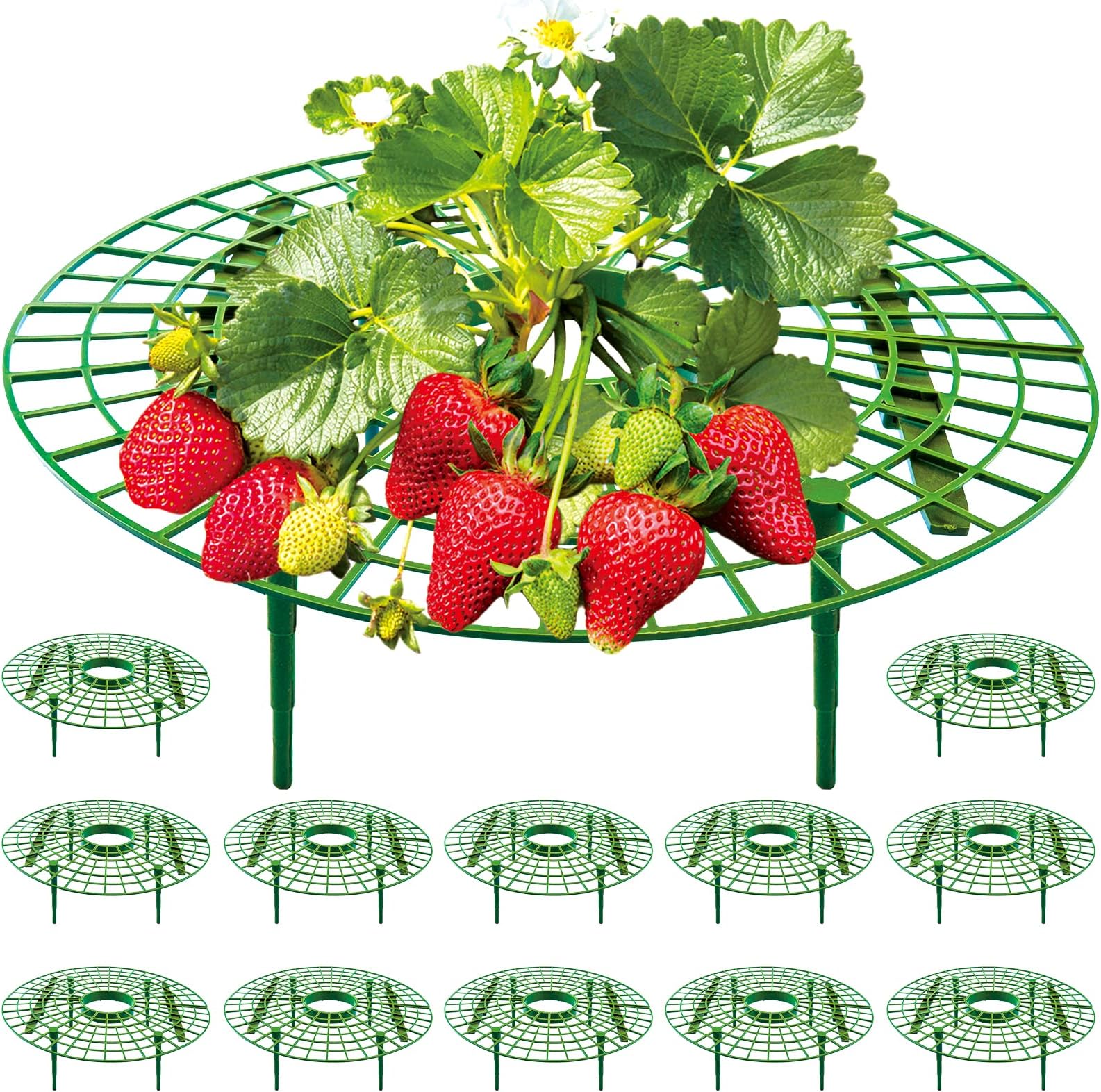 Amazon.com: 6 Pack Strawberry Supports,strawberry holder plants live ...
