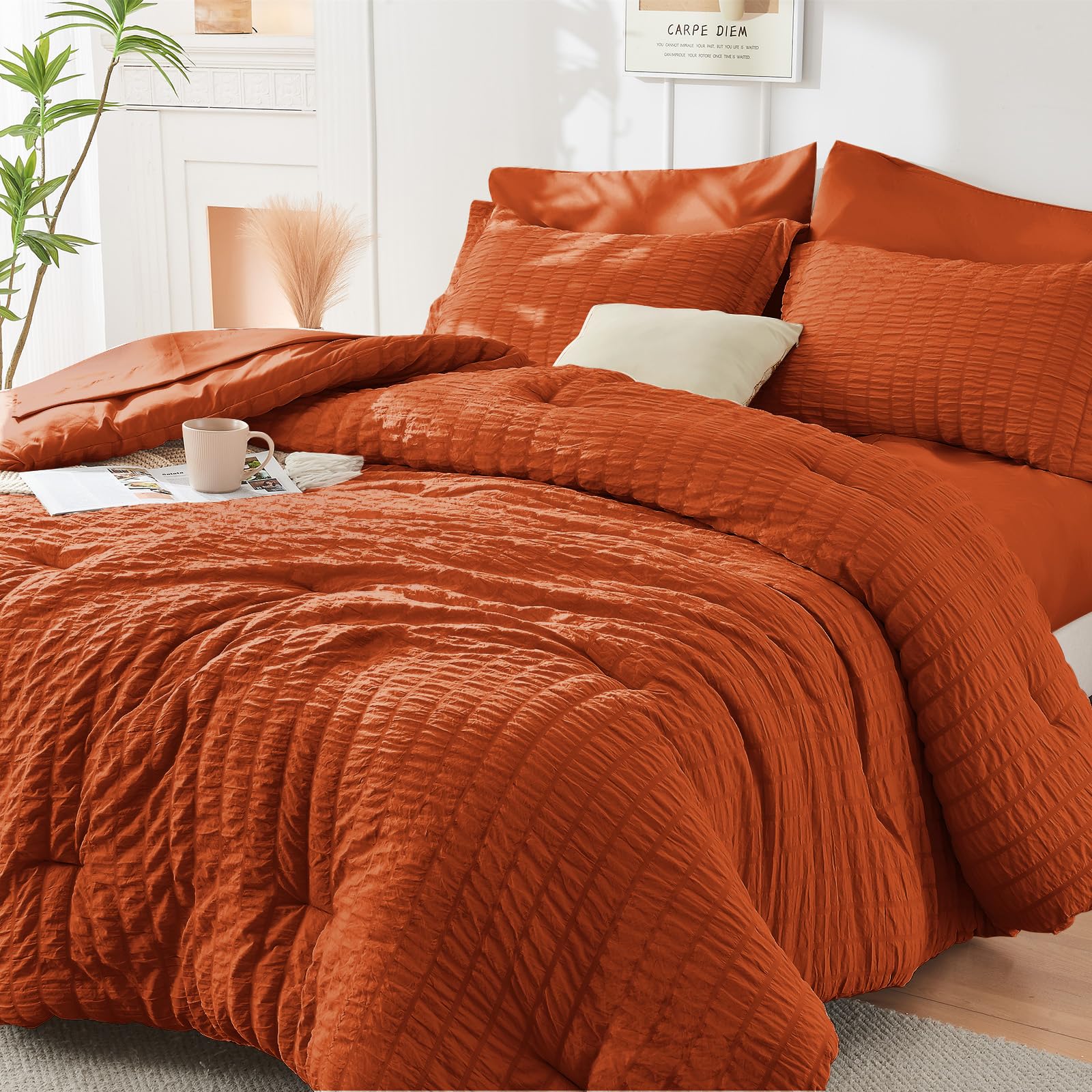 Amazon.com: HYMOKEGE Burnt Orange Queen Comforter Set Seersucker 7 ...