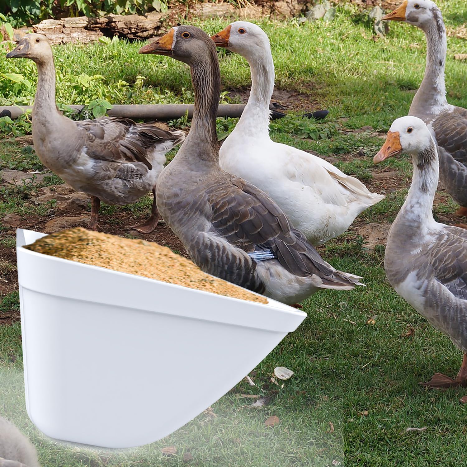 Snapklik.com : Mozoba Hanging Chicken Feeder Trough For Goat Sheep Deer ...