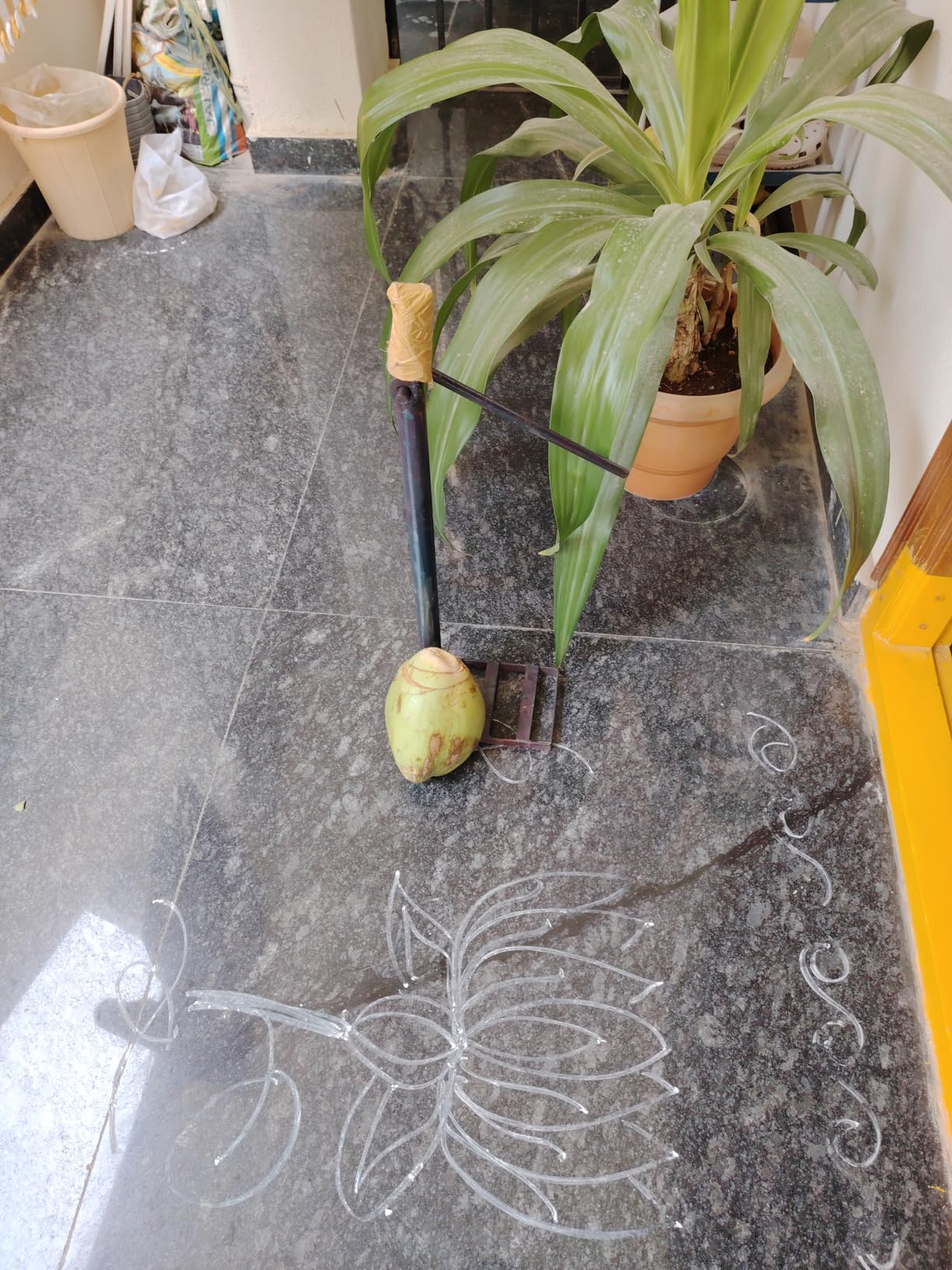 Buy GHST Coconut Husk Peeler, Husk Remover (Multi Color) Online at Low ...