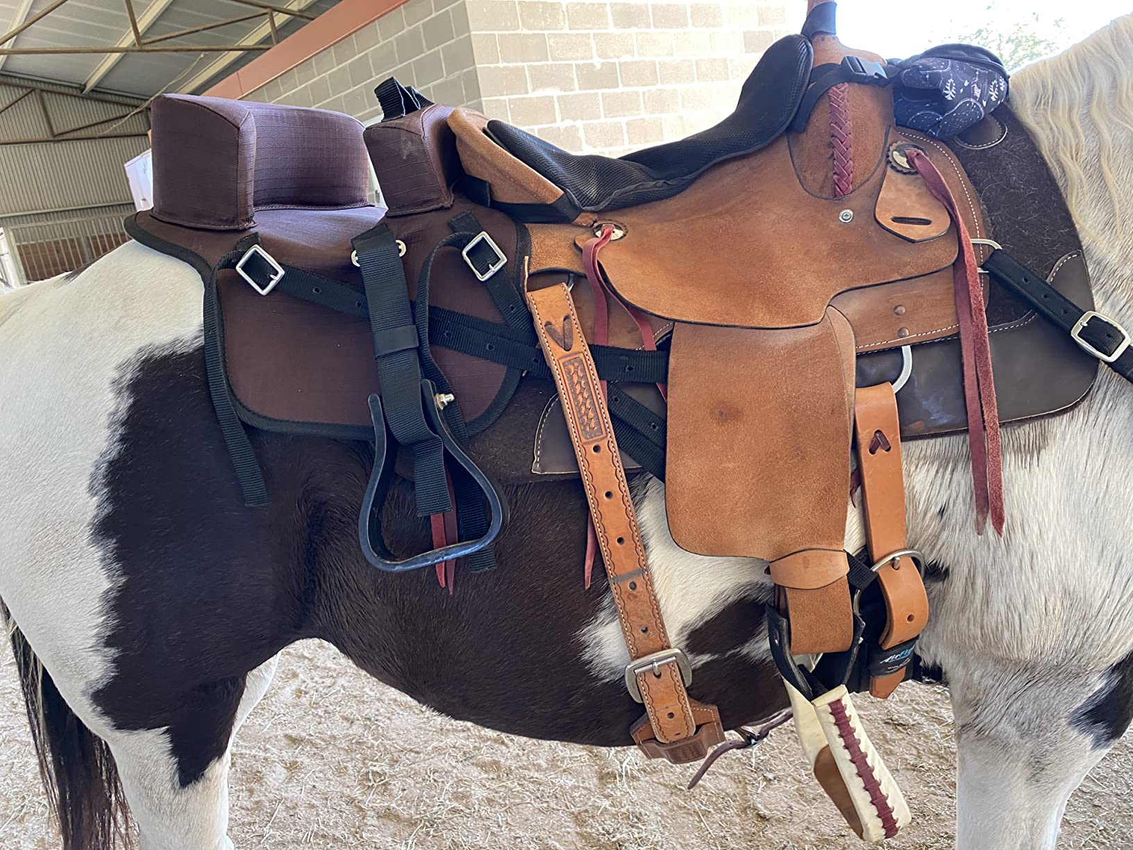 $15/mo - Finance HILASON Buddy Child Seat for Horse Saddle Riding | Buy ...